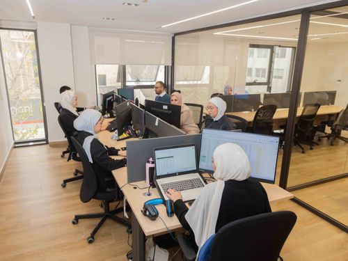 Mindset Data Insight Action